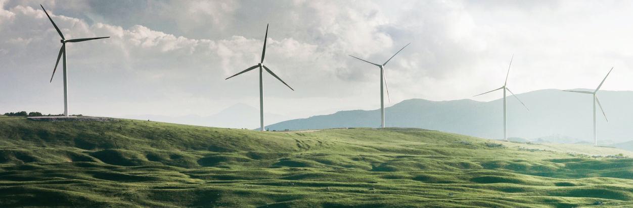 Dunarea East & West wind farm — Rezolv Energy